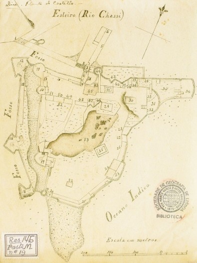 Tiswadi - JungleKey.in Image